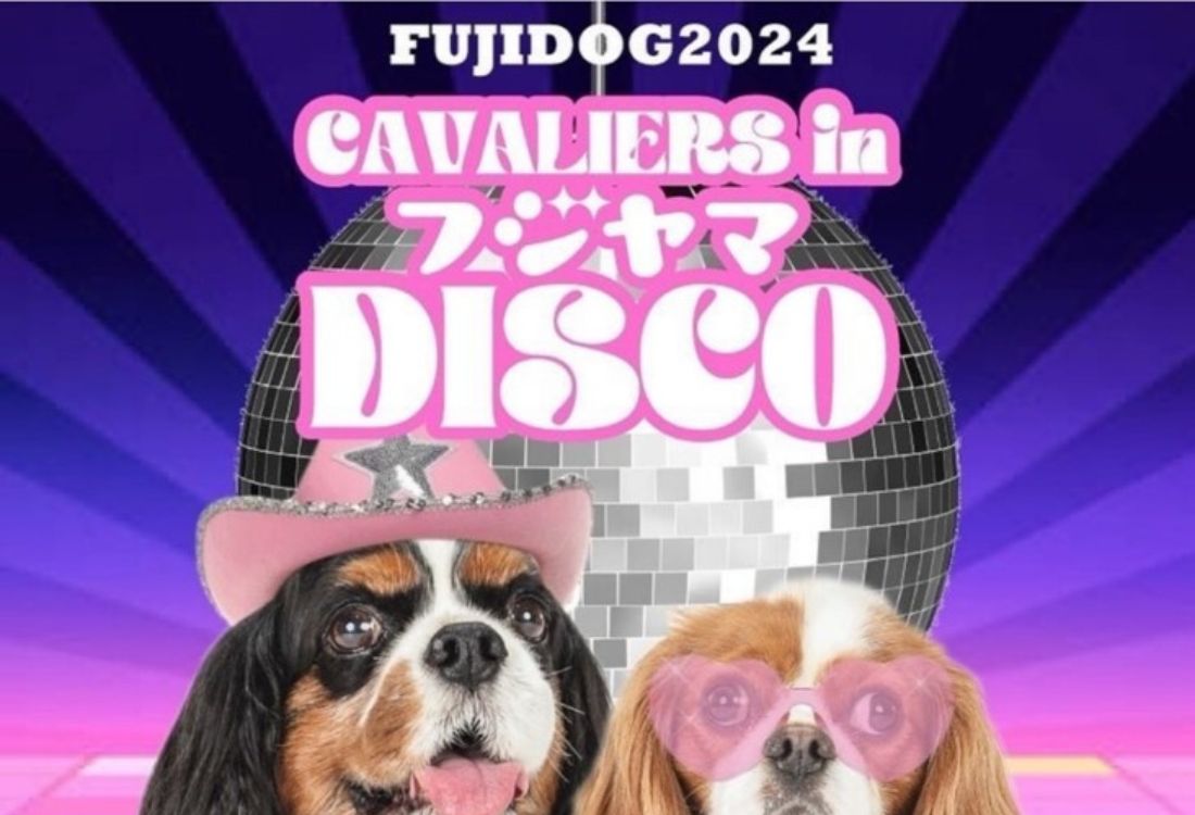 FUJI DOG「CAVALIERS in フジヤマDISCO」アクセスツアー
